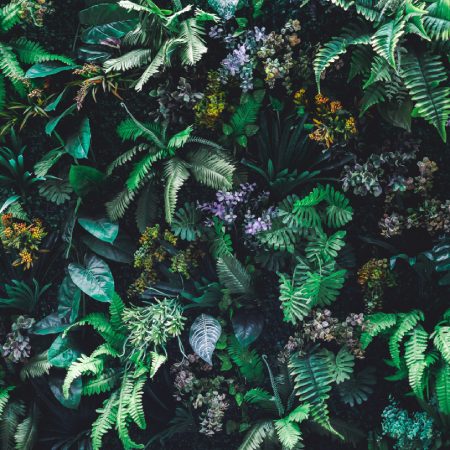 The Hospitality Recruitment Hub | Coconut